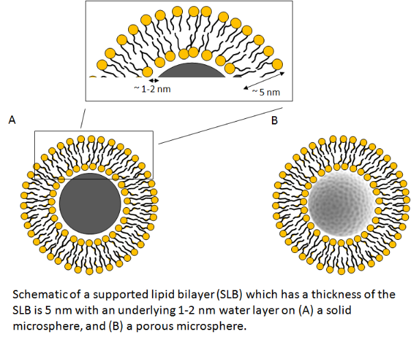 Biomimetic-SLB